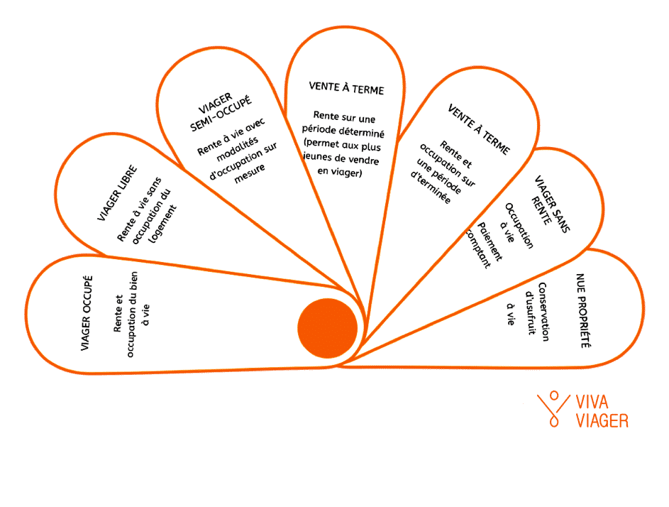 Tout savoir sur le viager | Viva Viager